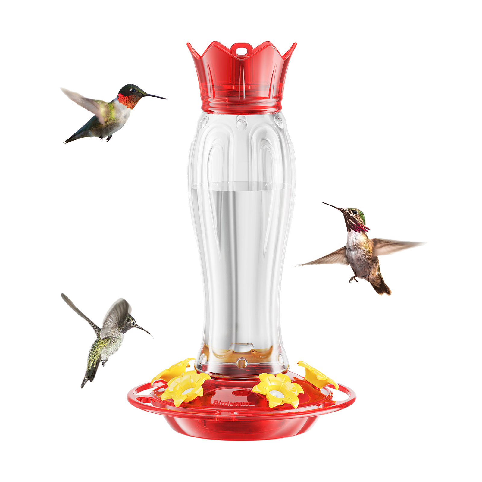 Hummingbird Feeder – Birdream